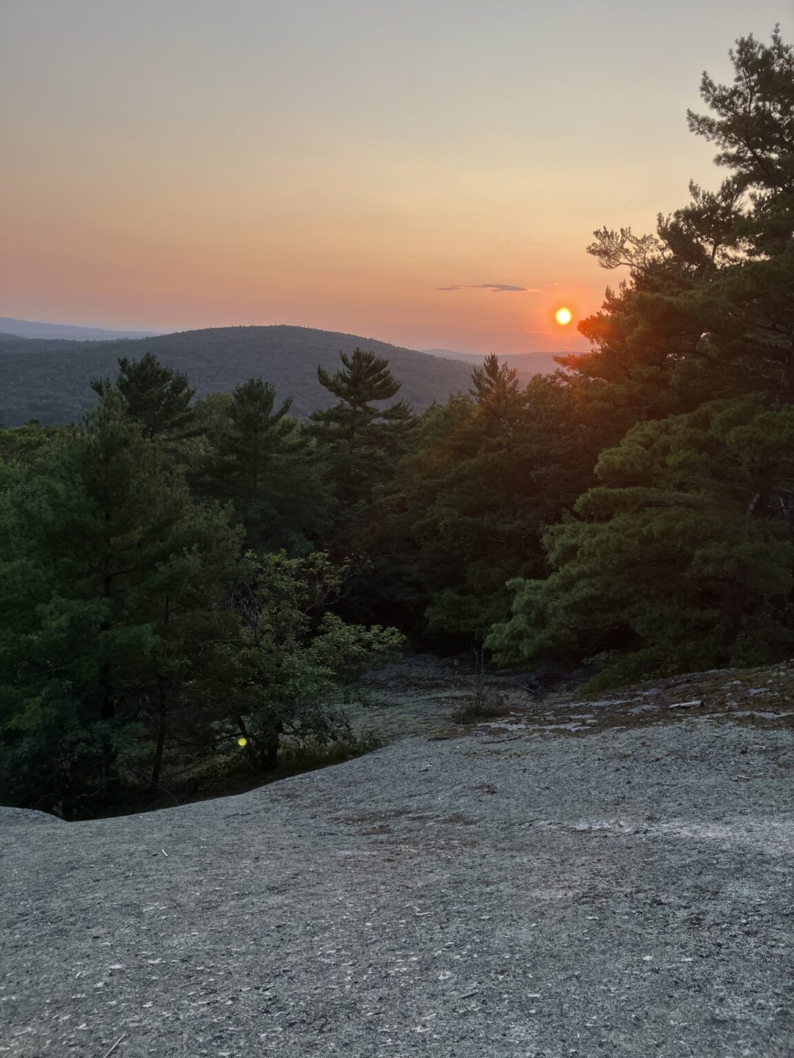 Sylva Native Nursury