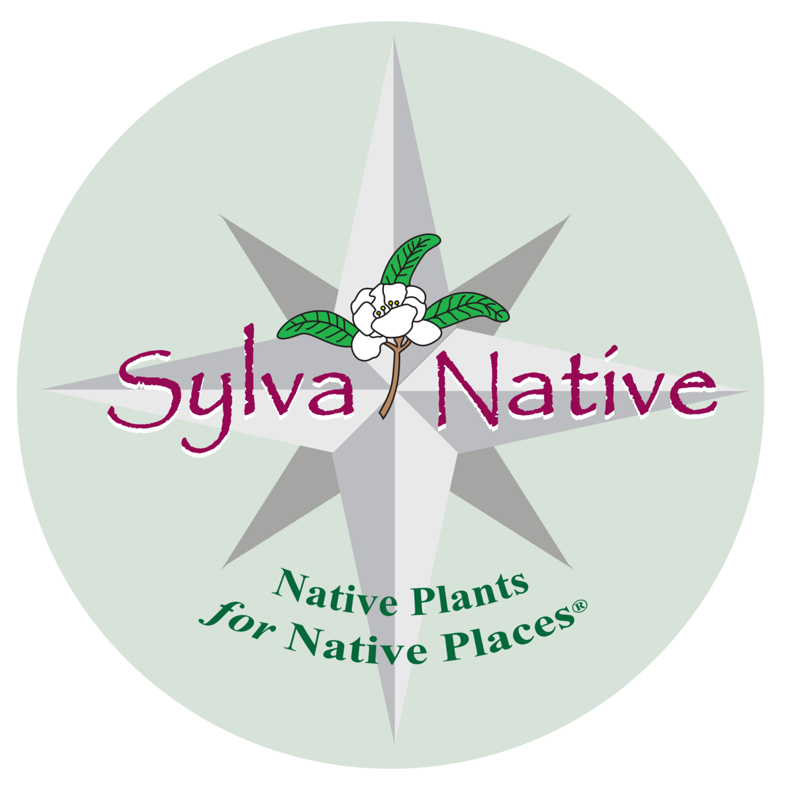 Sylva Native Nursury